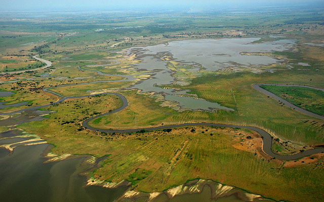 Conferencia | Los zenúes, intérpretes de la fauna anfibia precolombina ...