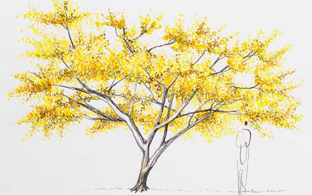 Visita la exposición “Flora de Macondo” | La Red Cultural del Banco de ...