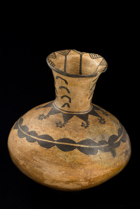 Una biografía disciplinar en objetos: las colecciones del Instituto ...