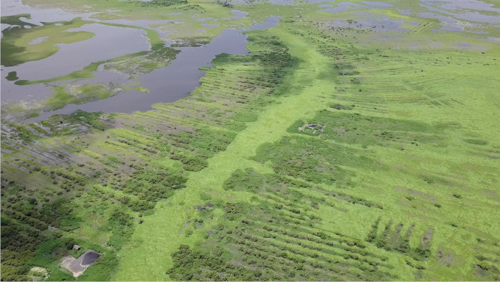Control de las inundaciones y agricultura en campos elevados en la ...