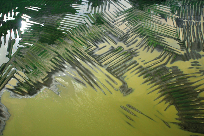 Control de las inundaciones y agricultura en campos elevados en la ...