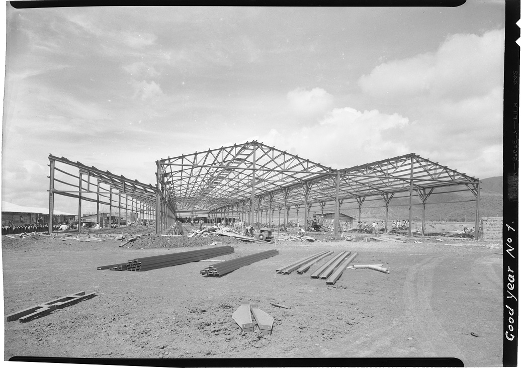 Otto Moll González - Archivo fotográfico | La Red Cultural del Banco de ...