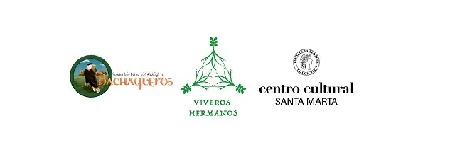 Semillas y sembradores de bosques | La Red Cultural del Banco de la ...