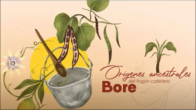 Orígenes ancestrales del fogón cafetero | Receta: arepas de bore | La ...