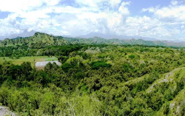 El bosque seco tropical detrás de la escena: la gente, la biodiversidad ...