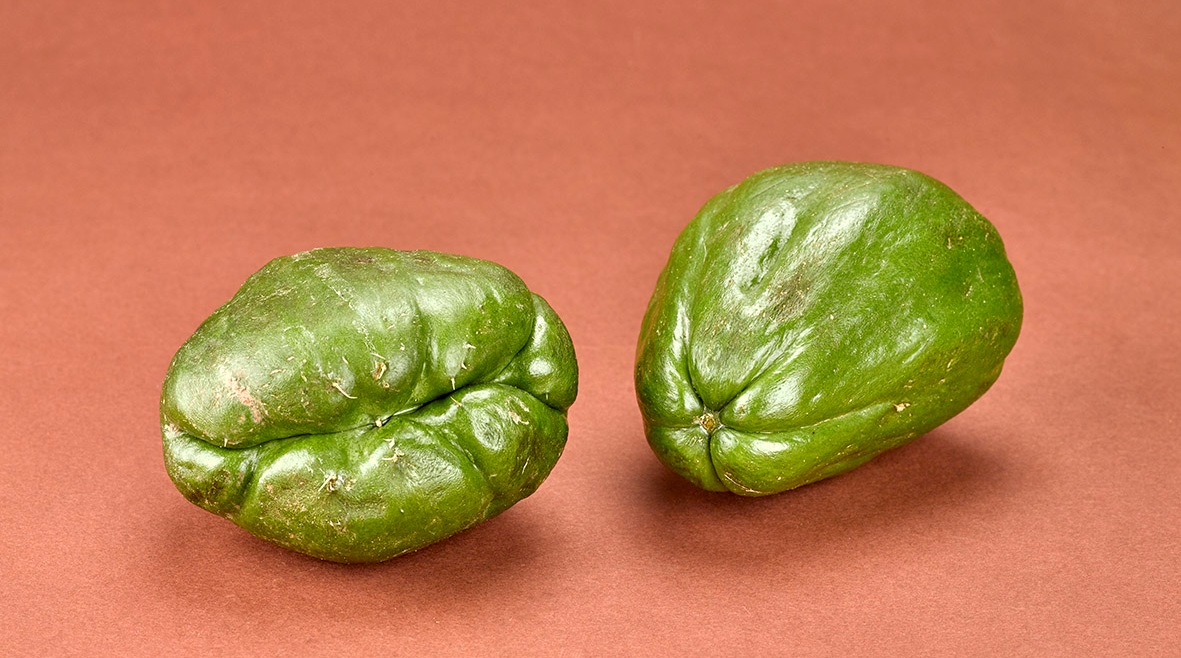 Horticultura y transformación del paisaje | La Red Cultural del Banco ...