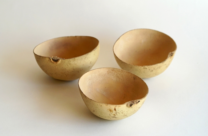 Plantas alimentarias, mágico-religiosas y otras útiles | La Red ...