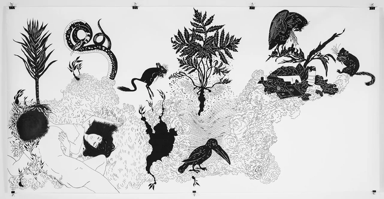 Mujeres experimentales en el Caribe Colombiano (1970) | La Red Cultural ...