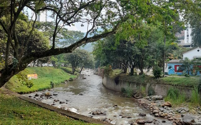Aves y Depredadores en el río Cali | La Red Cultural del Banco de la ...