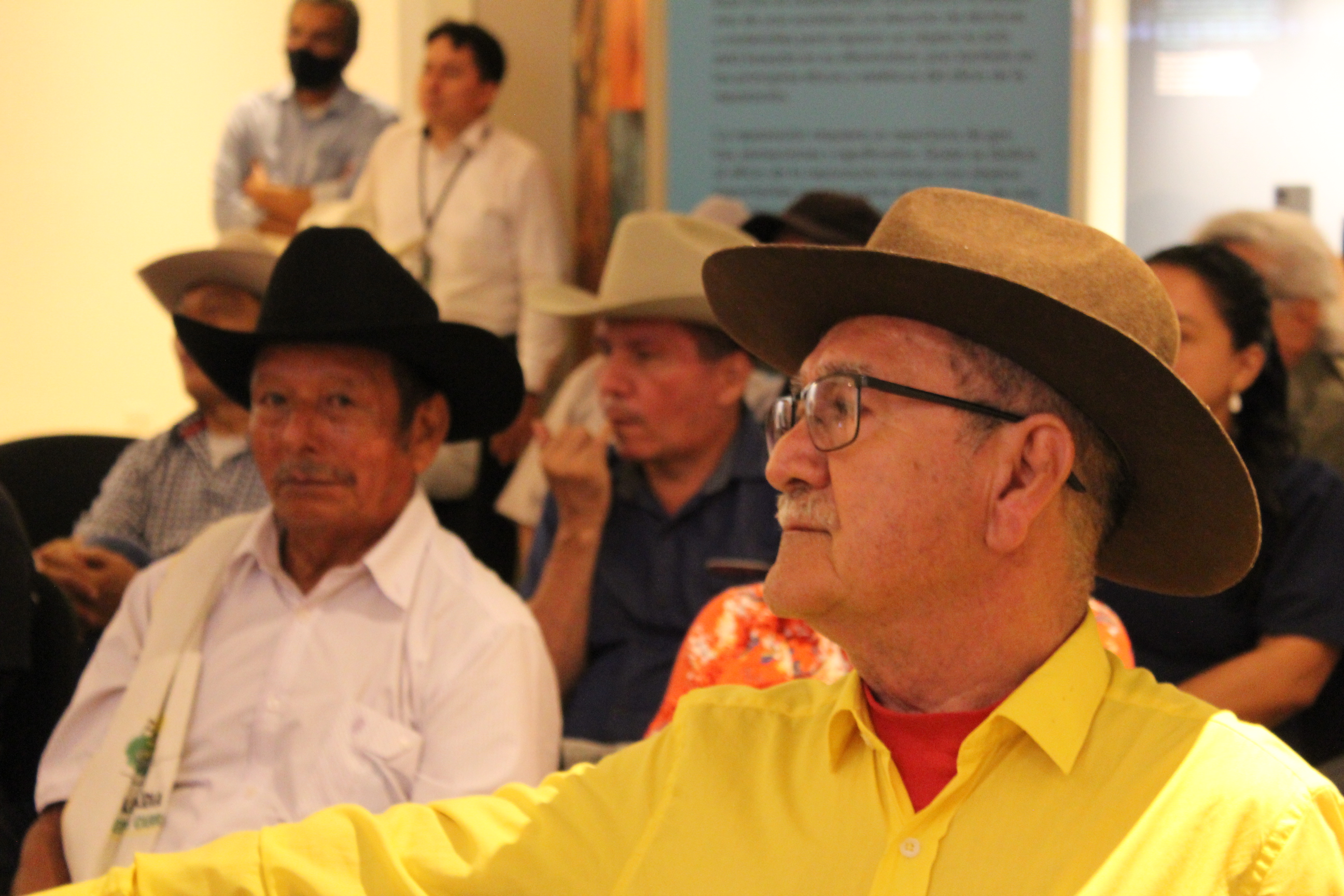 Explorando la relación del sombrero con la identidad llanera | La Red ...