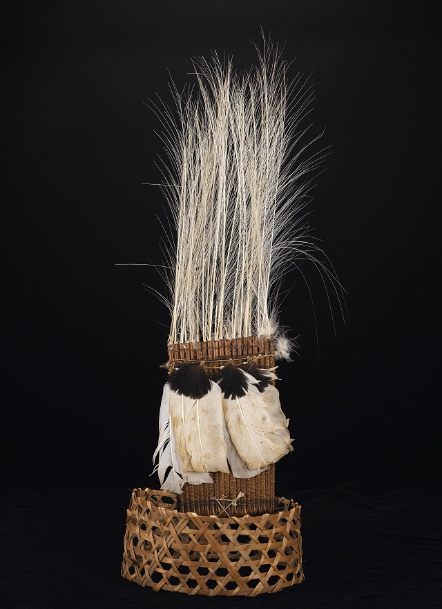 Curación y enfermedad | La Red Cultural del Banco de la República