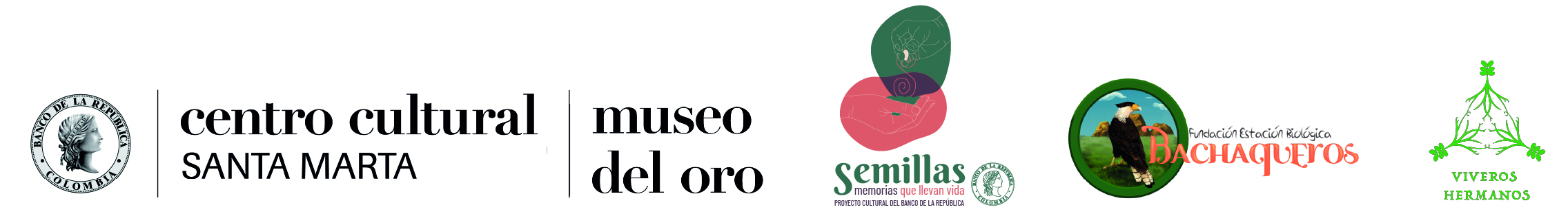 Un vivero de los bosques tropicales, una labor colectiva y de reflexión ...