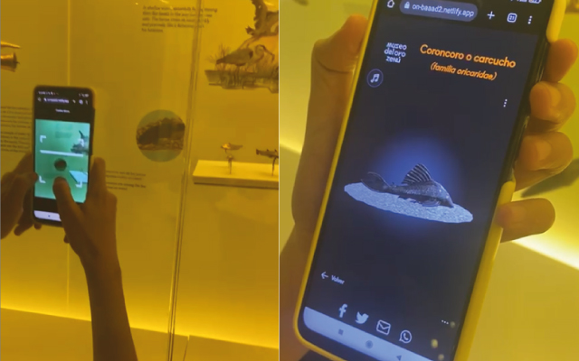 Vive una experiencia inmersiva en el Museo del Oro Zenú | La Red ...