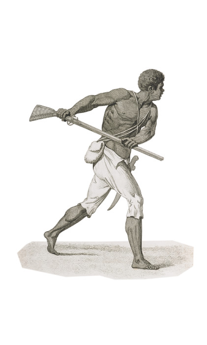 Cimarronismo, palenques y rochelas: prácticas colectivas de la ...