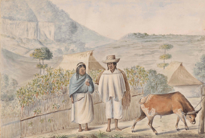 Indígenas y participación política en las provincias del cauca, 1810 ...