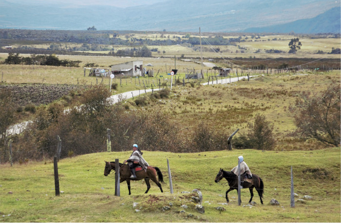 El conflicto interno y su impacto en las luchas por la tierra en Colombia: el caso de Sumapaz ...