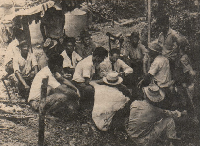 Tras las huellas de una utopía campesina: La "Anuc" en el occidente del ...