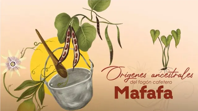 Orígenes ancestrales del fogón cafetero | Receta: sopa de mafafa | La ...