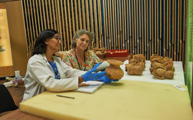 Museo del Oro Zenú, una curaduría de múltiples perspectivas | La Red ...