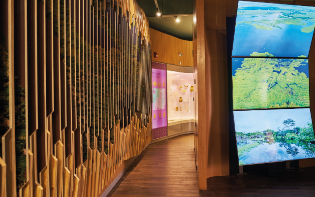 Vive una experiencia inmersiva en el Museo del Oro Zenú | La Red ...