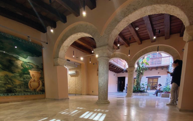 Conéctate con la vida anfibia y disfruta los nuevos servicios del Museo ...