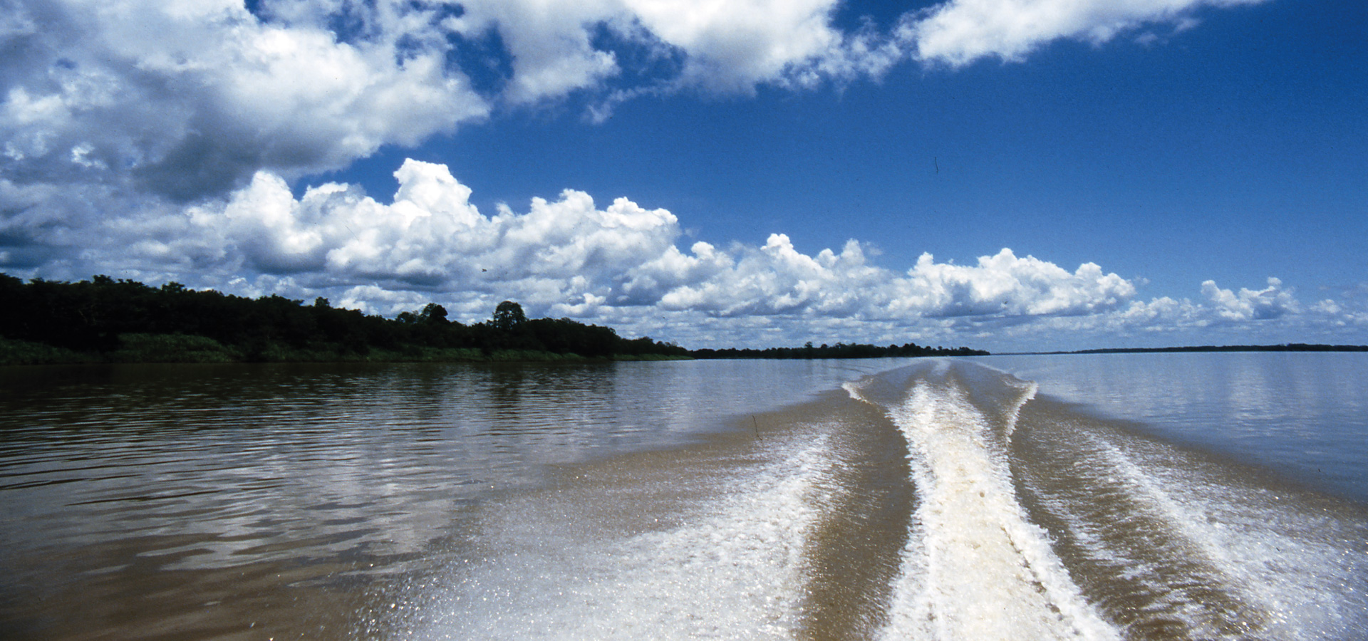 Plantas, sueños y bailes: caminos de conocimiento y adaptación cultural | La Red Cultural del ...