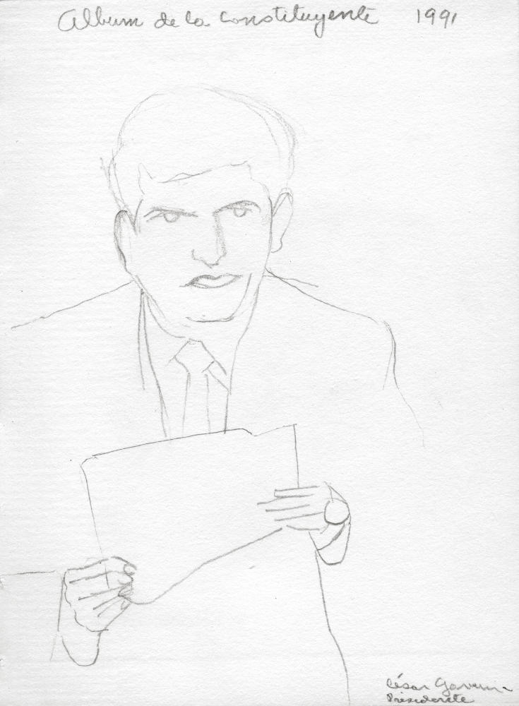 Álbum de la constituyente | La Red Cultural del Banco de la República