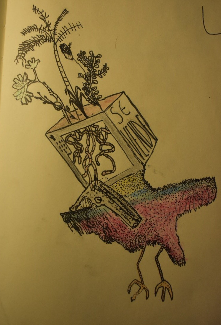 Nicolás Garzón aka Garzoncillos | La Red Cultural del Banco de la República