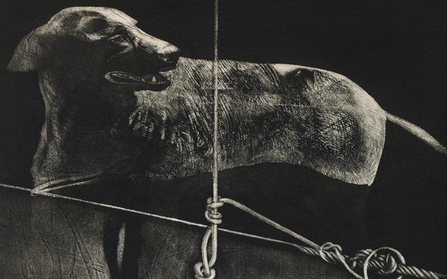 Las series secretas de Juan Antonio Roda | La Red Cultural del Banco de ...