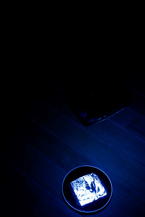 Musa Paradisíaca | La Red Cultural del Banco de la República