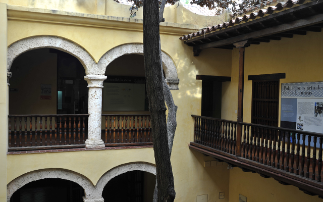 Inicia la renovación del Museo del Oro Zenú | La Red Cultural del Banco ...