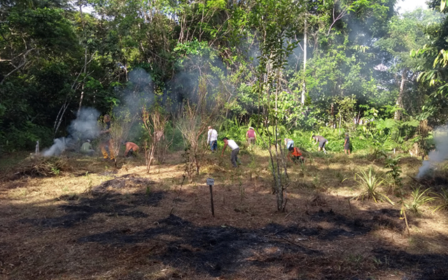 ¿Qué es la chagra? | La Red Cultural del Banco de la República
