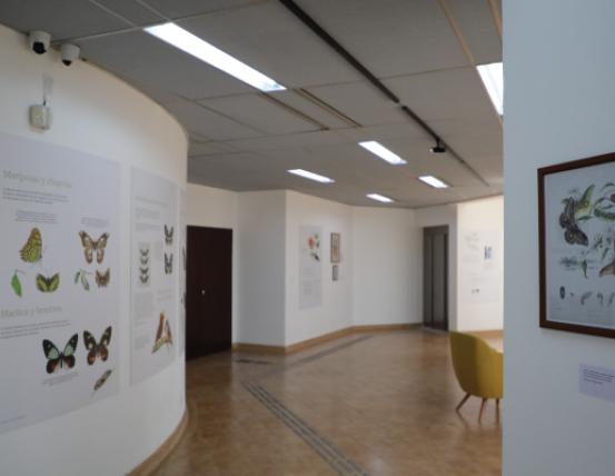Centro Cultural de Cúcuta | La Red Cultural del Banco de la República