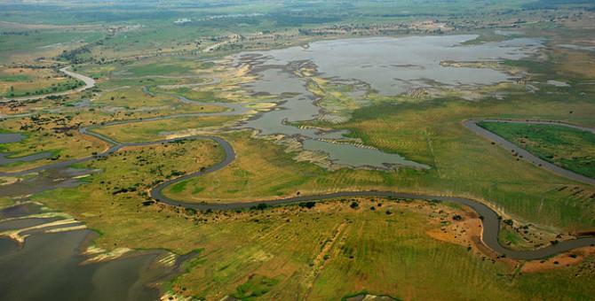 Museo del Oro Zenú | La Red Cultural del Banco de la República