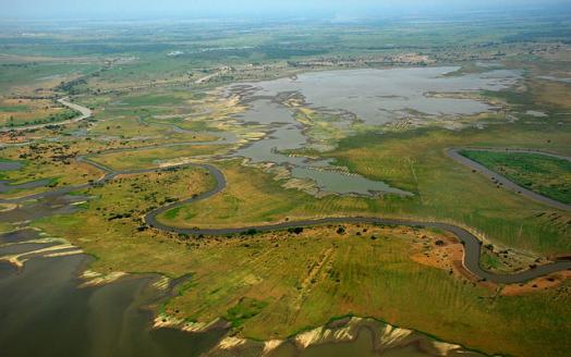 Museo del Oro Zenú | La Red Cultural del Banco de la República